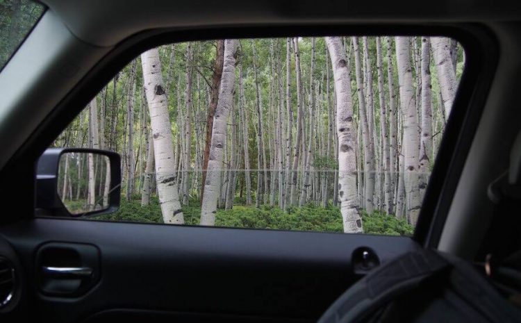 Did You Know How to Get a Car Window Back on Track - Automotive News