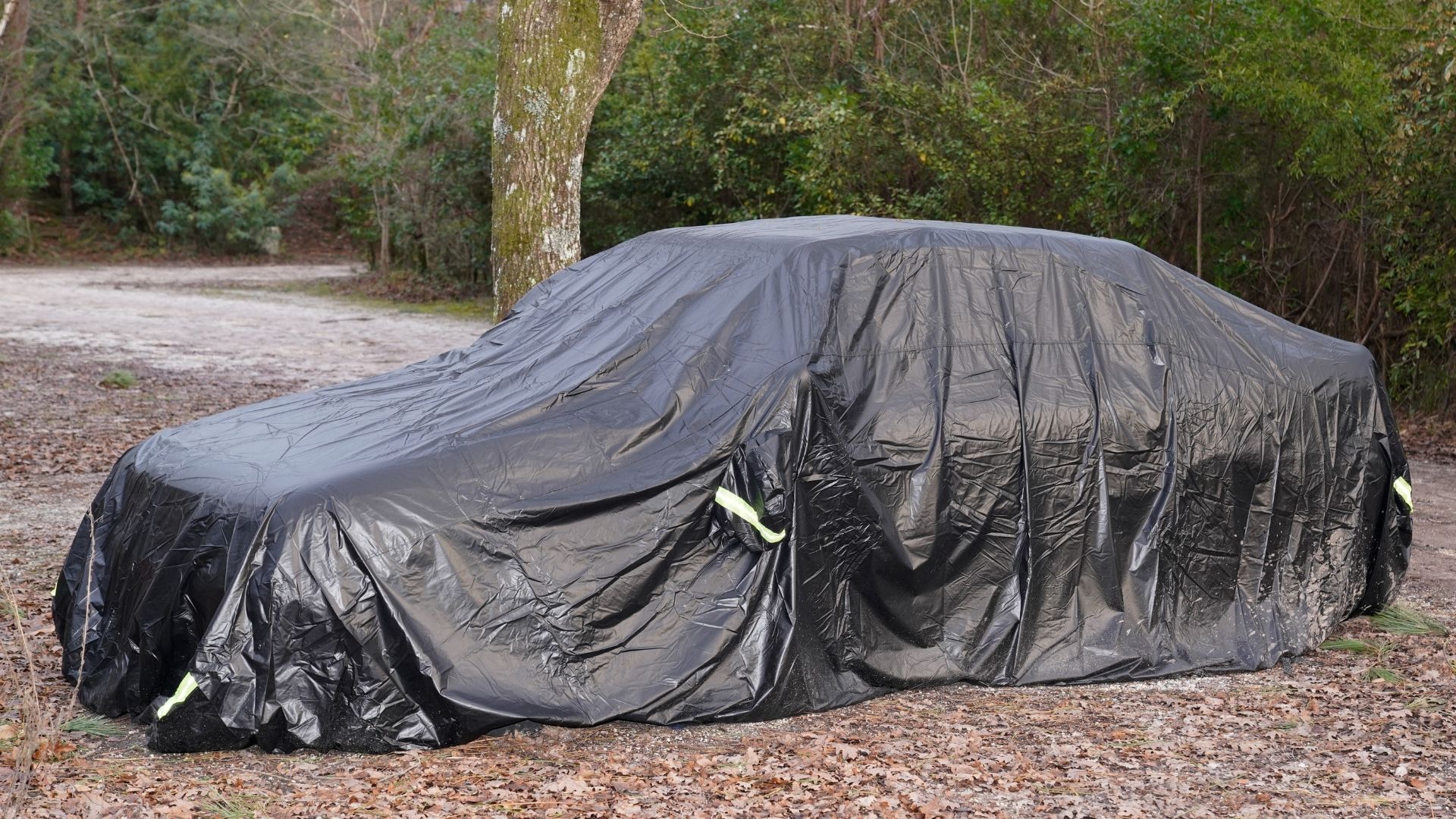 Protect Car Exteriors Using Car Covers - Automotive News